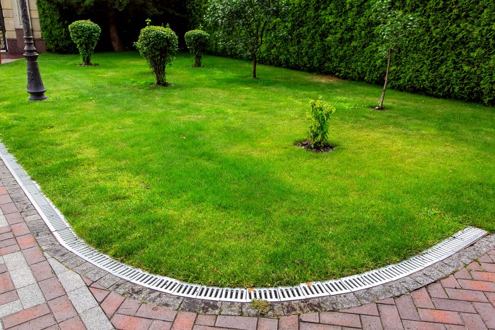 Backyard Drainage Solutions | JensonBrothers.com