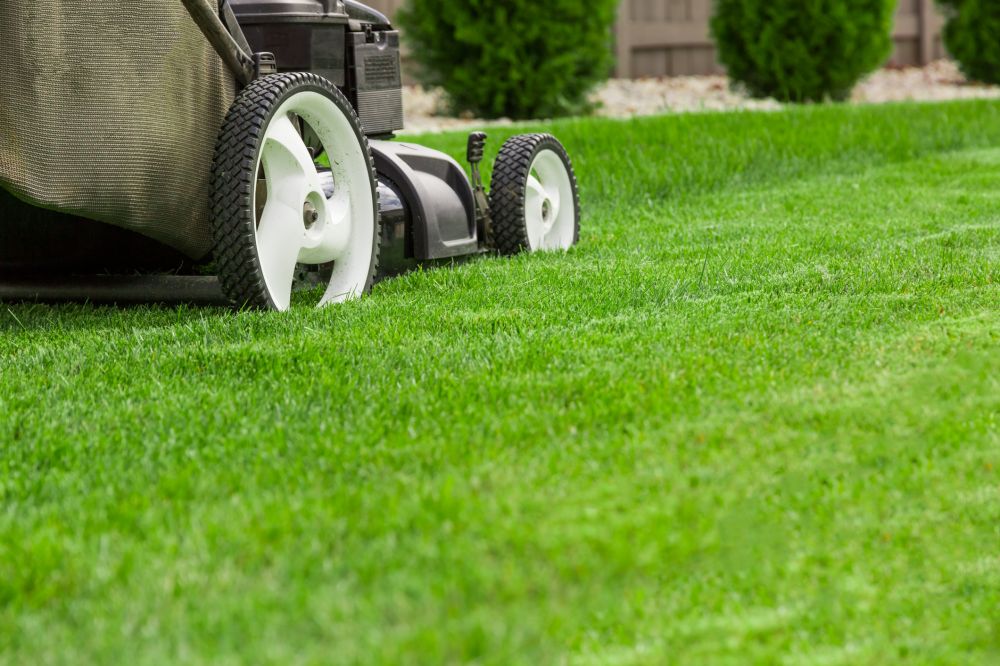 Lawn Grass Cutting | JensonBrothers.com