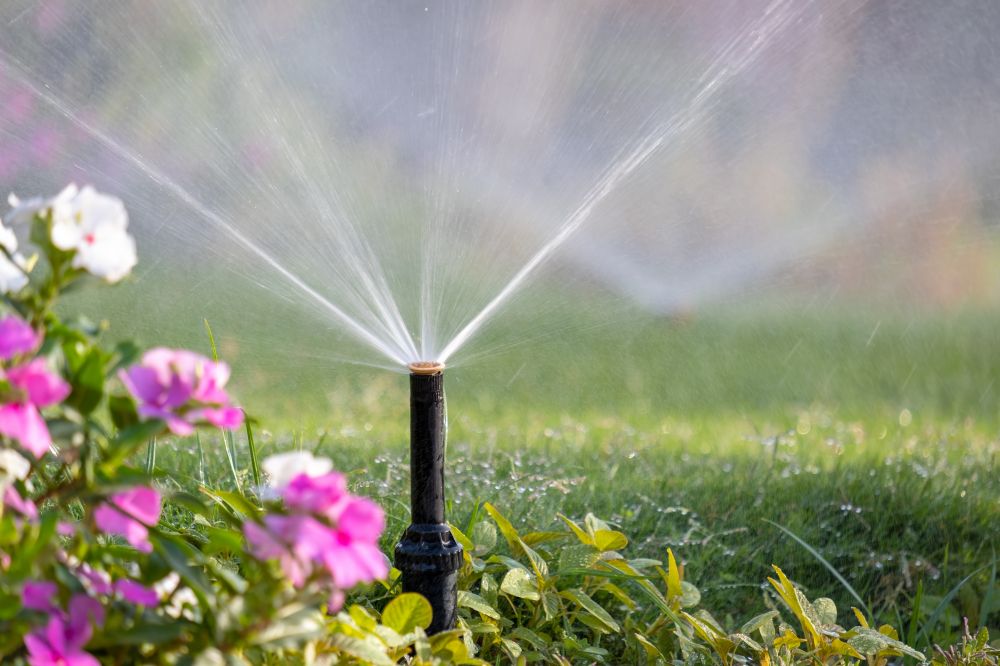 Plant Watering System | JensonBrothers.com
