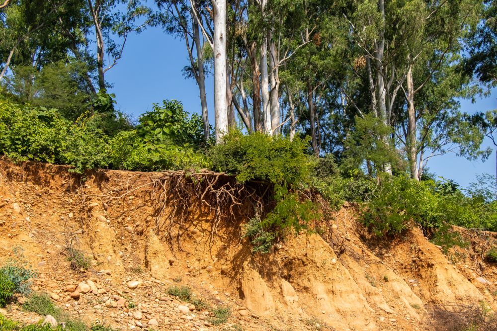 Slope Erosion Repair Service | Get Slope Erosion Repair
